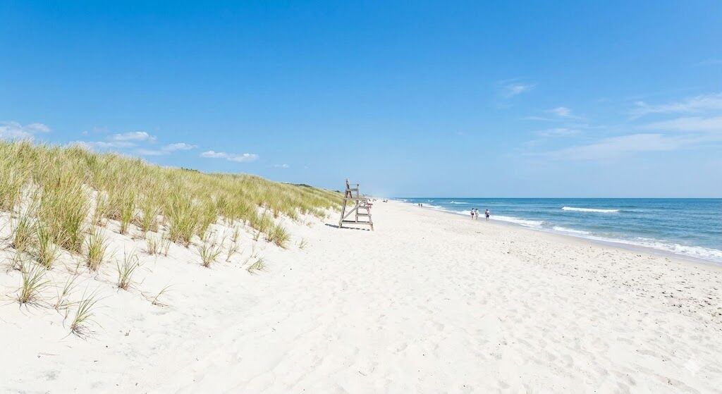 Hamptons Beach Clubs: A Complete Guide | Social Life Magazine